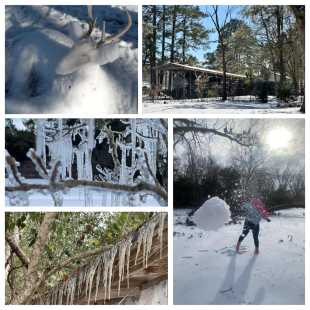Ware County Receives Historic Snowfall in a Winter to Remember ...